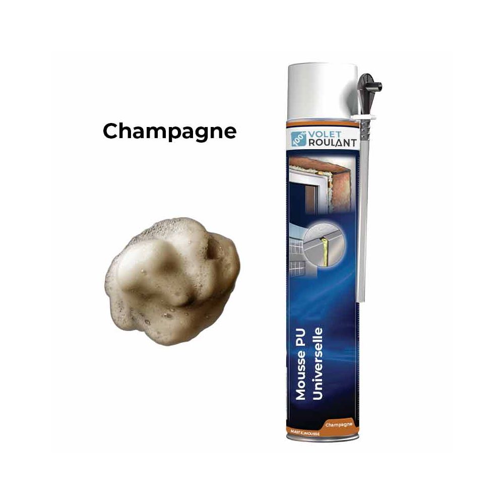 Mousse PU Universelle Manuelle 750ml Qualité Professionnelle - 100% ...